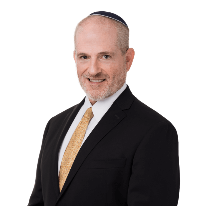 David Schapiro | Arnon, Tadmor-Levy